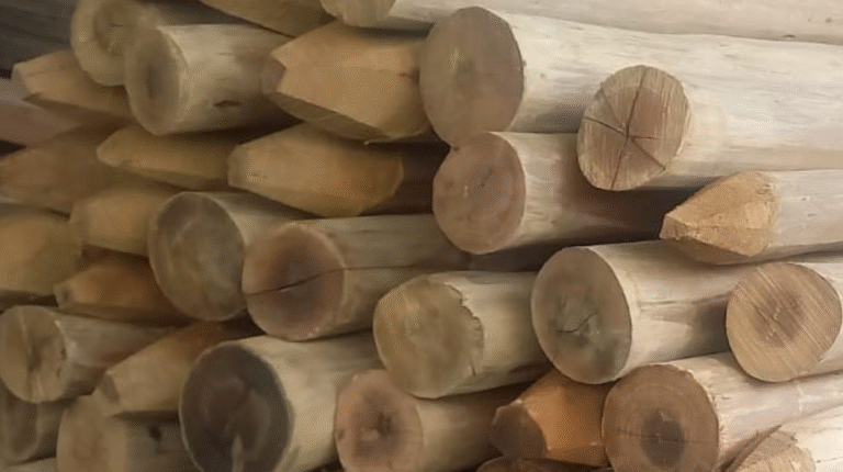 Maderas - Venta de Madera en Chía | Multimaderas Páez – Aserrío y ...
